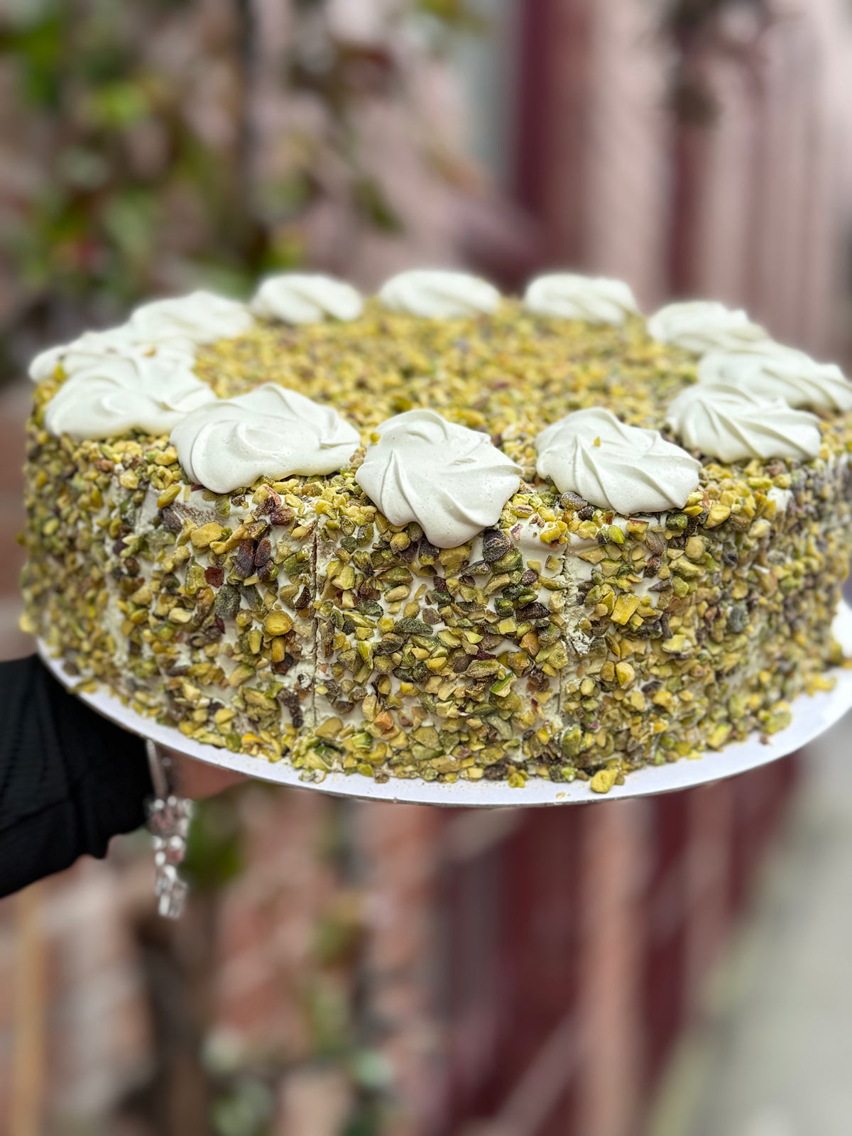 Pistachio Cake - Treveli (Vegan and Halal) | Sicilian NQ